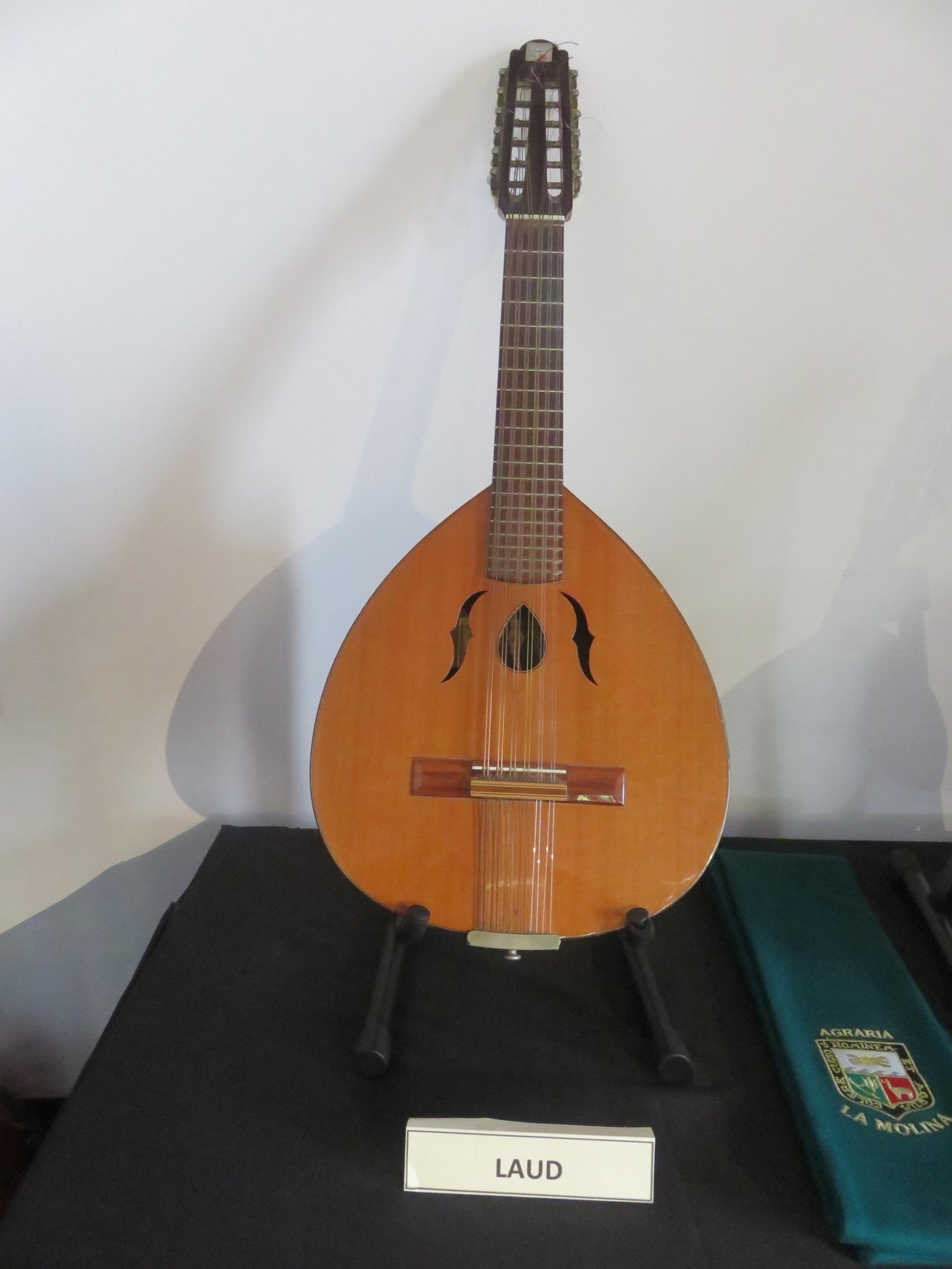 Instrumentos de Cuerda – Musica de Lambayeque